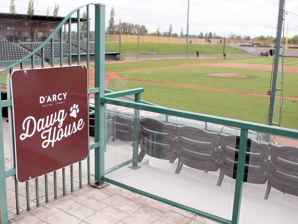 Okotoks Dawgs double down for Western Canadian Baseball League season ...