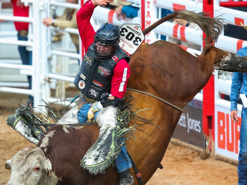 Rodeo stars say it's 'good to be back' in saddle for Calgary Stampede ...