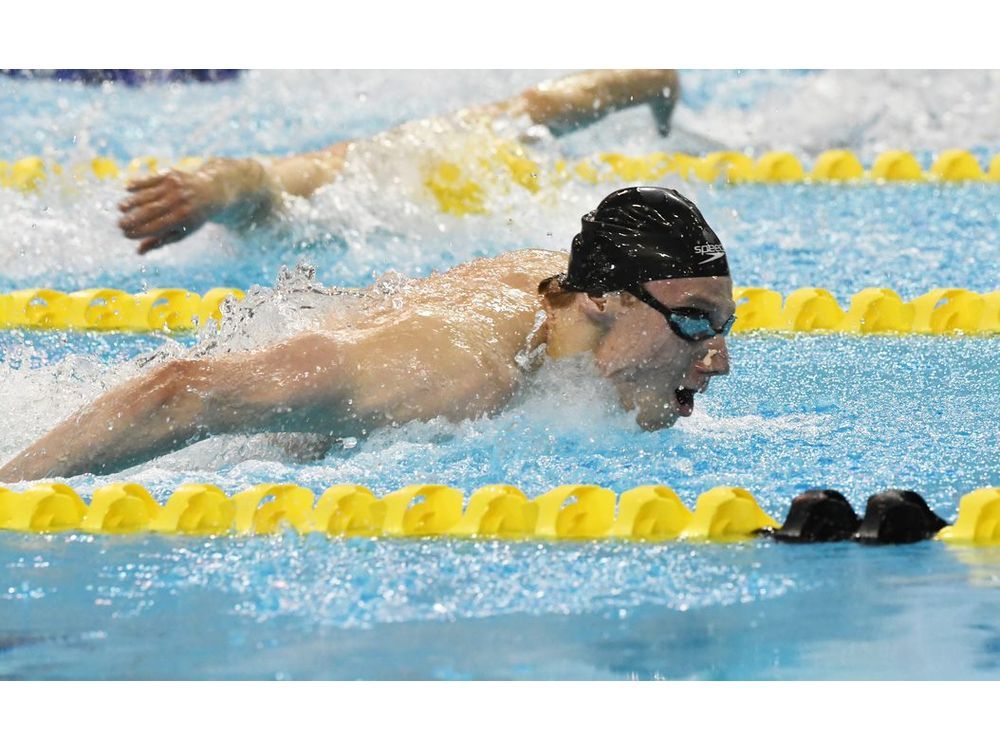 Okotoks' Finlay Knox sets national mark at swim worlds | Calgary Sun