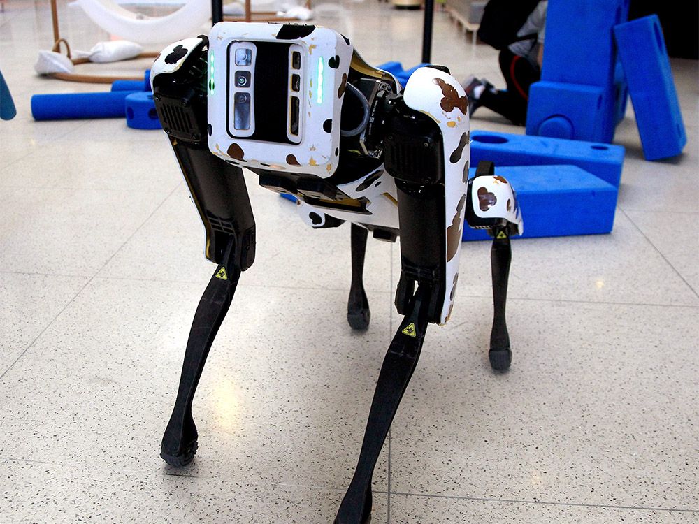 New robotic dog at Telus Spark leading kids to science and technology ...