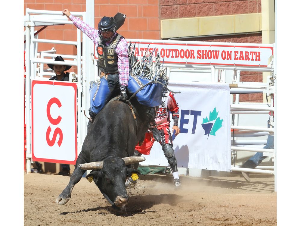 RODEO NOTES: Clayton Sellars dominating in Stampede bull riding ...