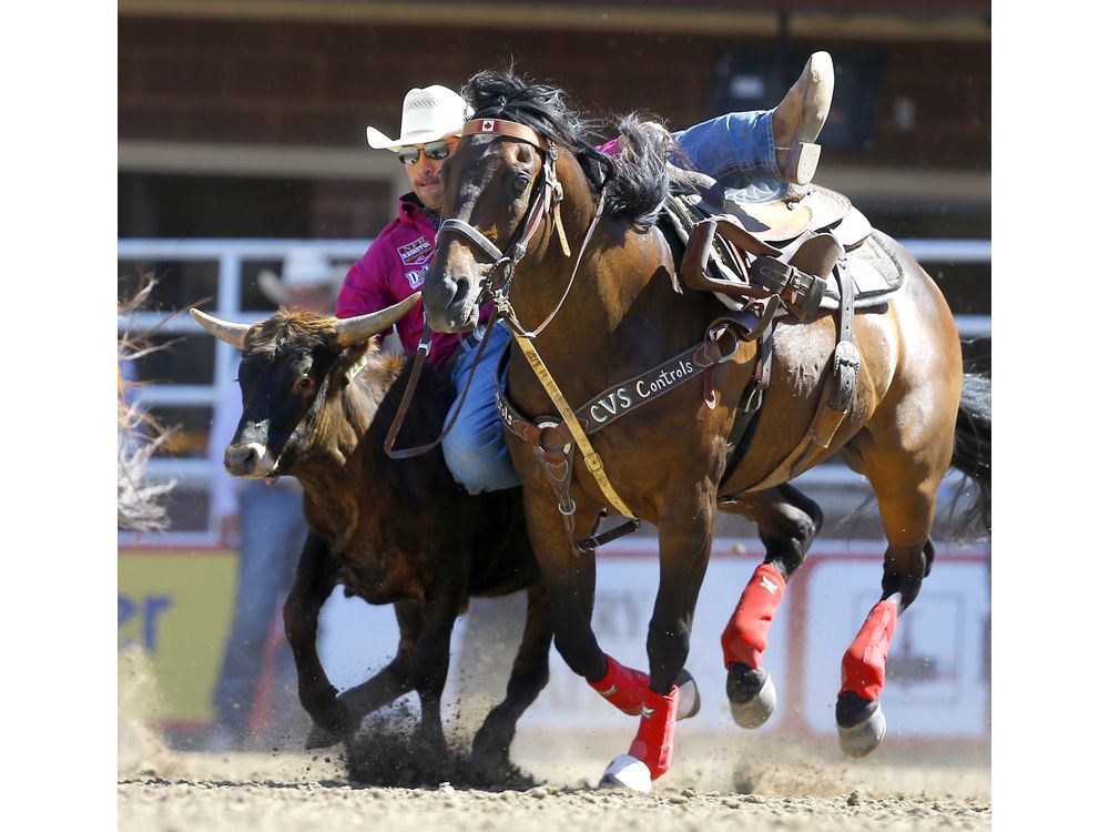 RODEO NOTES: Tyson carries steer wrestlers to Calgary Stampede success ...