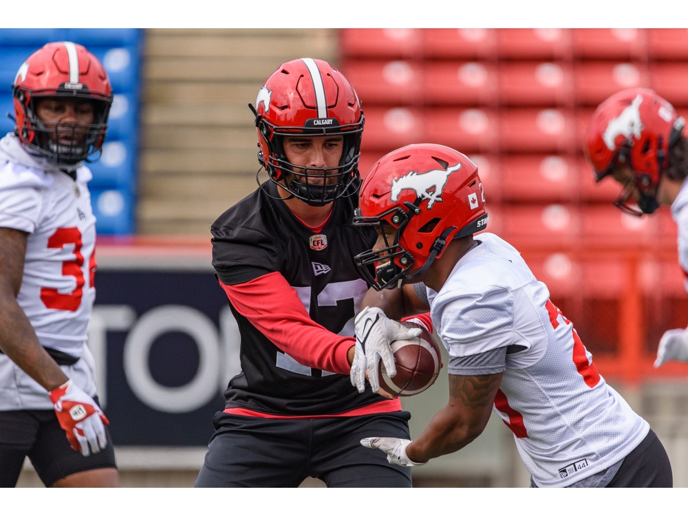 Calgary Stampeders run game becoming more explosive with Peyton Logan ...