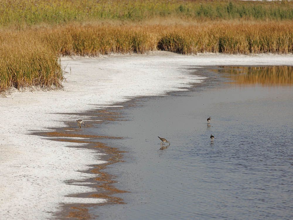 Red light, green light: Photographing Alberta from the FJ Cruiser | Driving