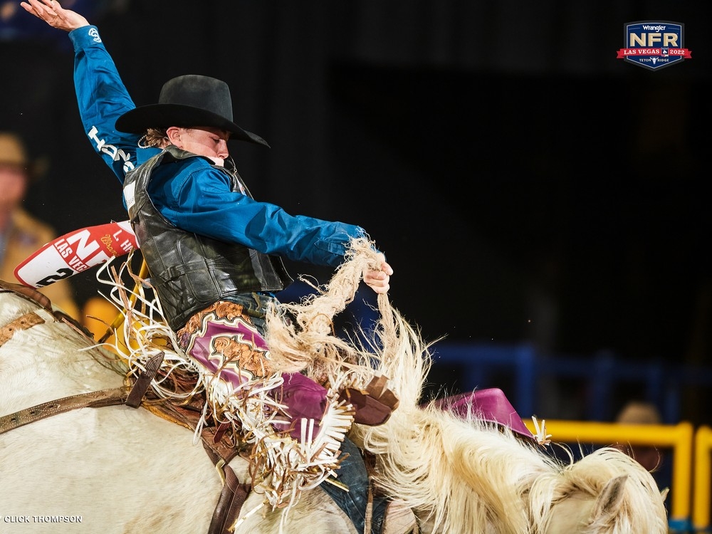 Hay now! Logan is riding high | Calgary Sun