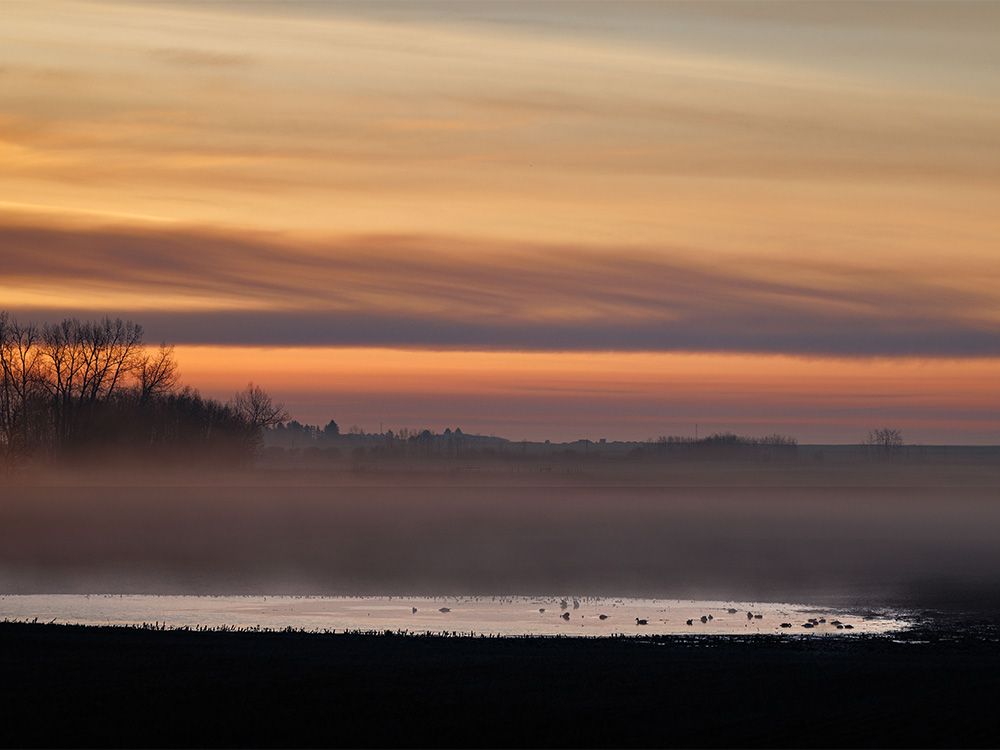 Mike Drew: Beauty of spring comes to the Bow, day in and day out ...