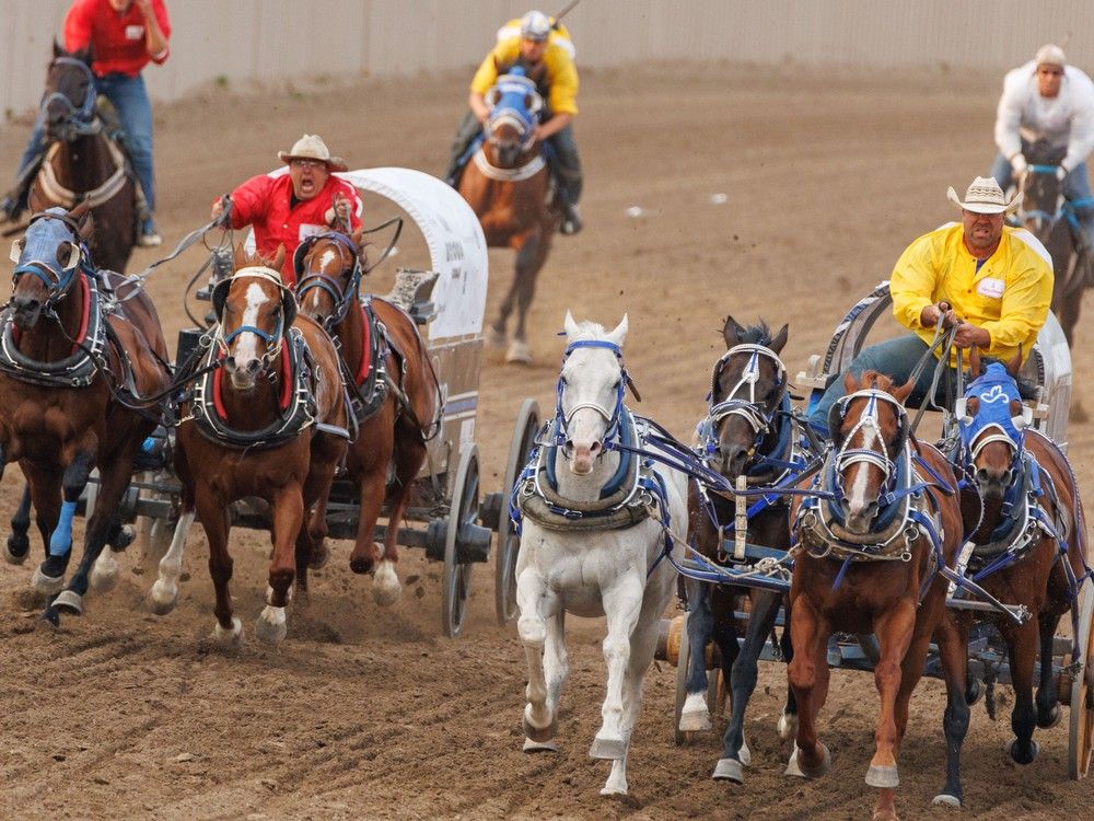 Chuckwagon star Chanse Vigen heats up in time for Calgary Stampede ...
