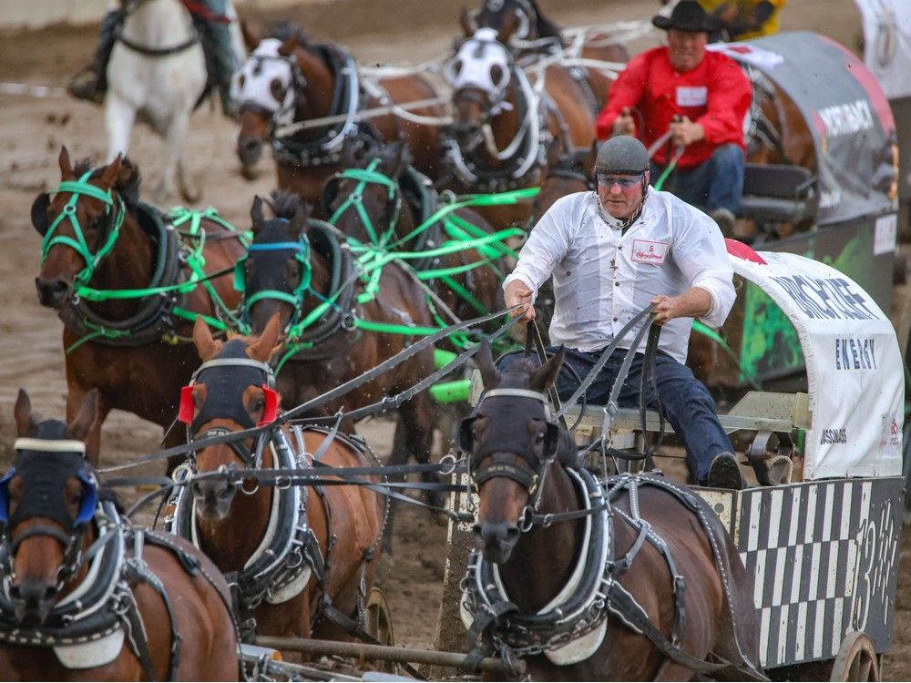 Jason Glass carries on chuckwagon racing legacy, puts the horses first ...