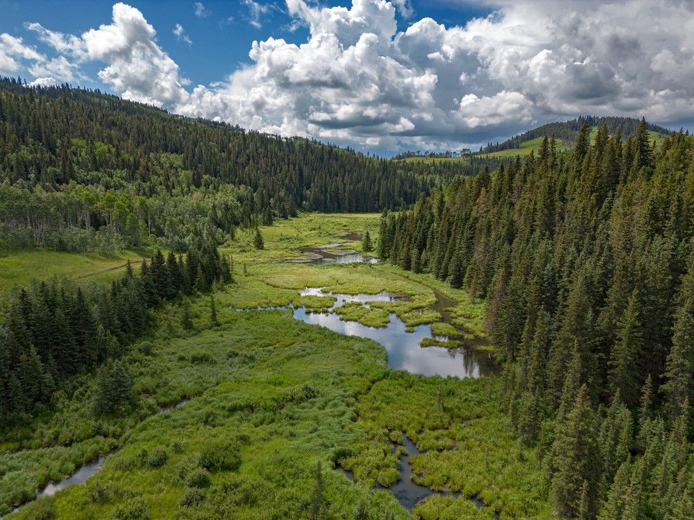 Mike Drew: Southern Alberta storm clouds lead to land of wonder ...