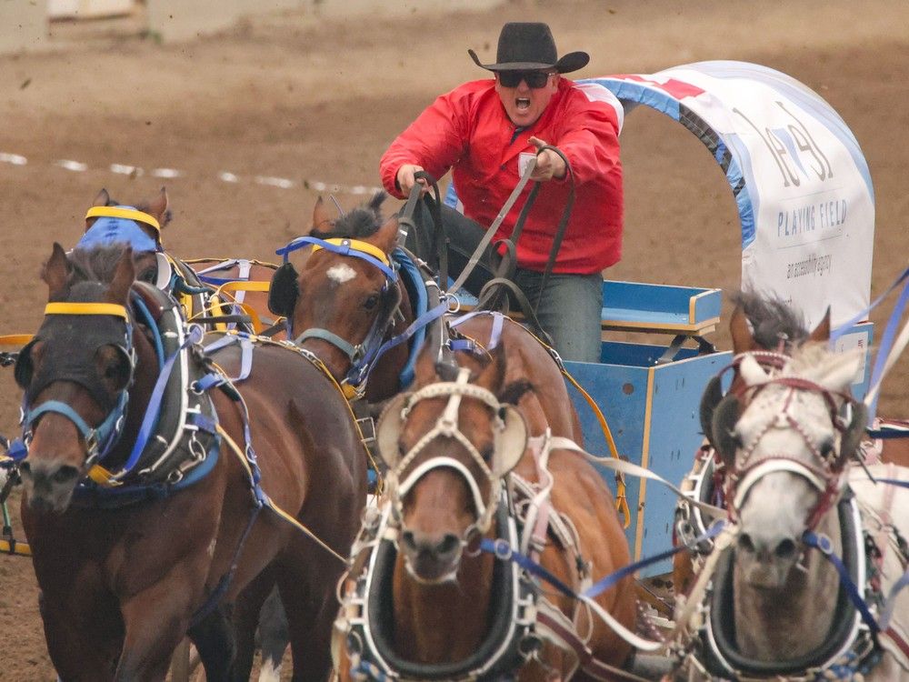 Mark Sutherland, Codey McCurrach leaving chuckwagon racing on highs ...
