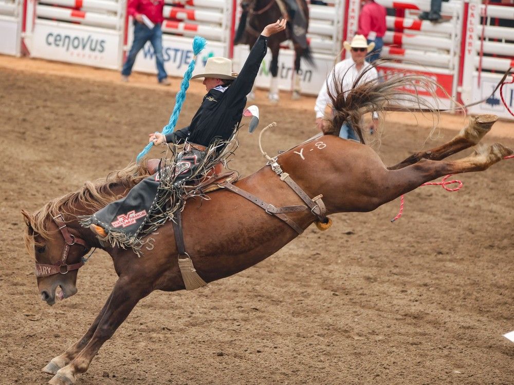 Alberta's Ben Andersen looking for Calgary Stampede saddle-bronc 'Cup ...