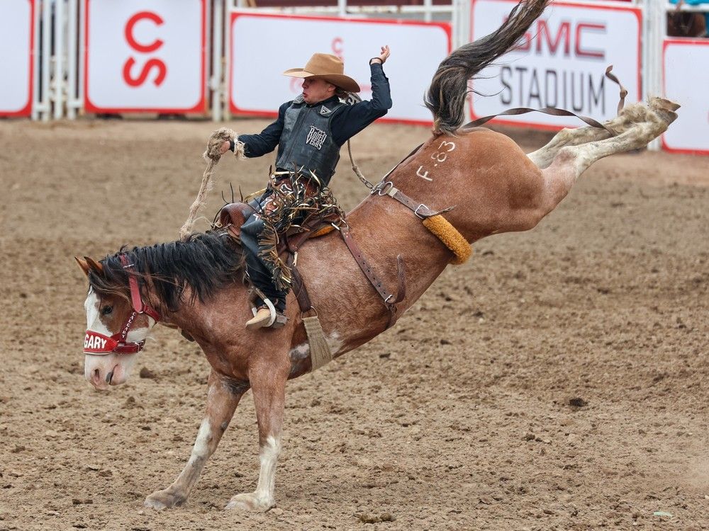 Hay brothers shake off injuries to shoot for Calgary Stampede titles ...