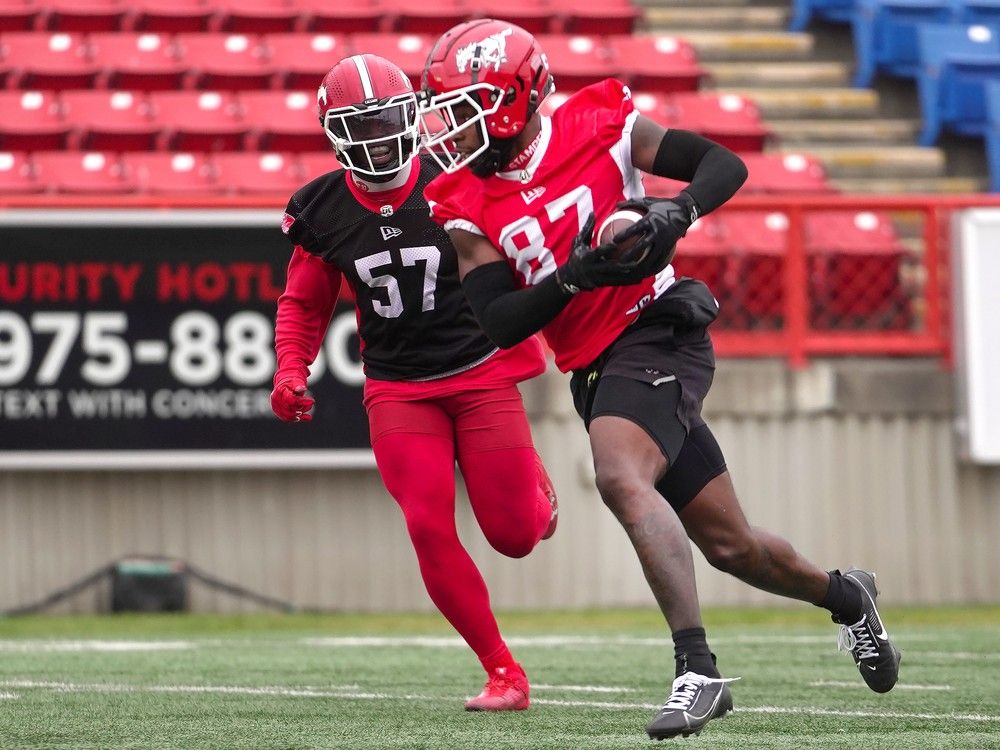 Calgary Stampeders get jolt of life from Floyd Allen's TD catch, flip ...