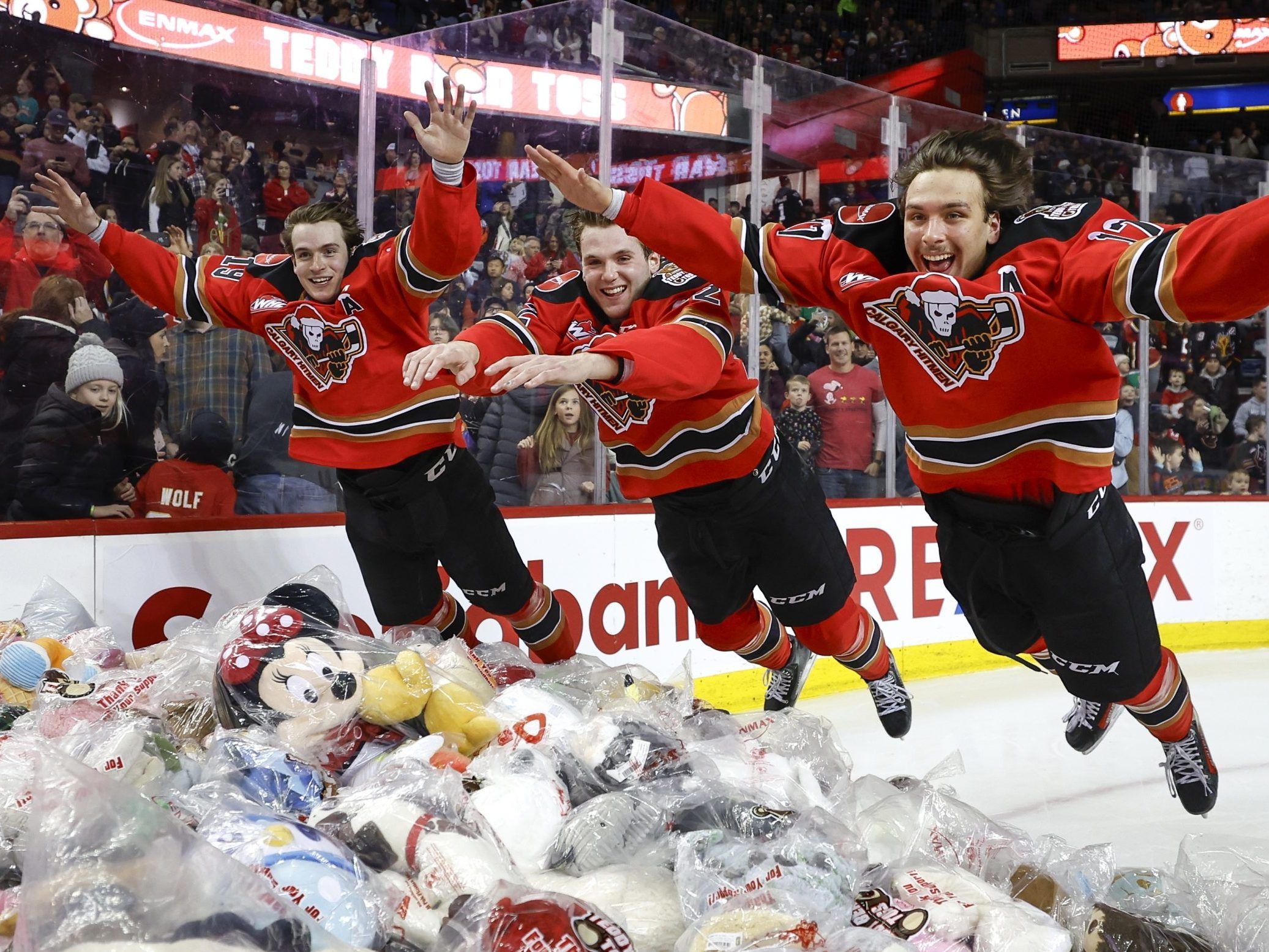 Calgary Hitmen's Wyatt Pisarczyk on receiving side of Teddy Bear Toss ...