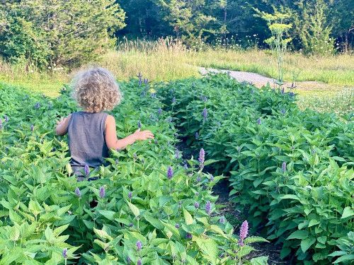 Greg Sorbara family enterprise: from ruins to hospitality hot spot ...