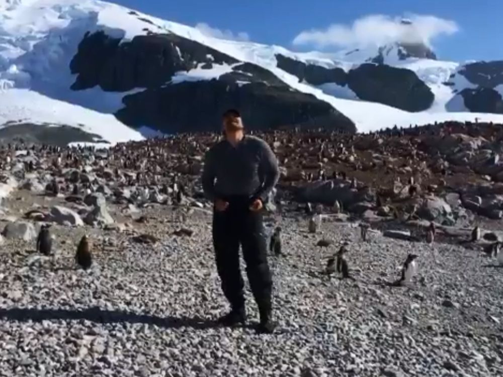 'Stranger Things' star David Harbour dances with penguins in Antarctica ... 'Stranger Things' star David Harbour dances with penguins in Antarctica ...