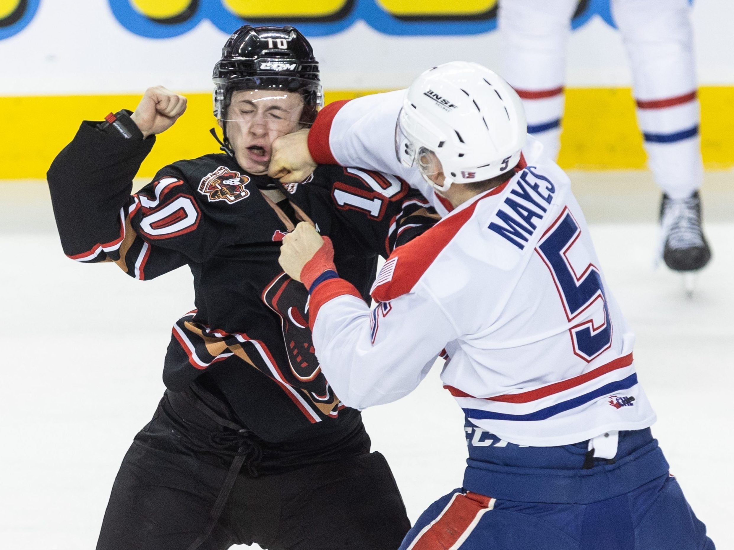 Toronto-Maple-Leafs | Canoe