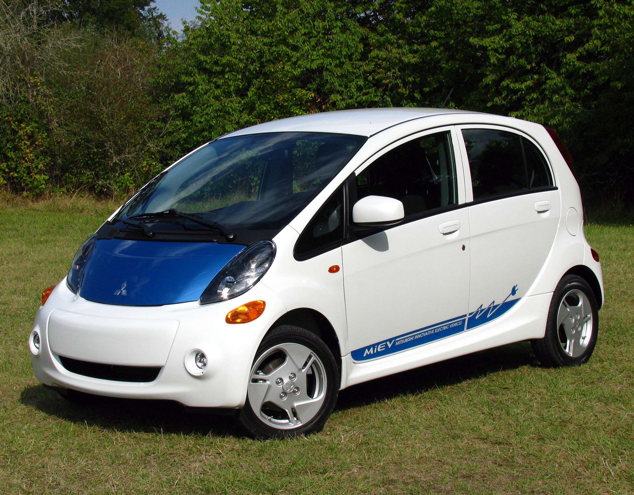 EV experience a painless leap of faith | Driving