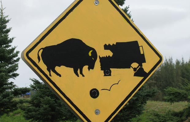 Bizarre road signs from around the world | Driving