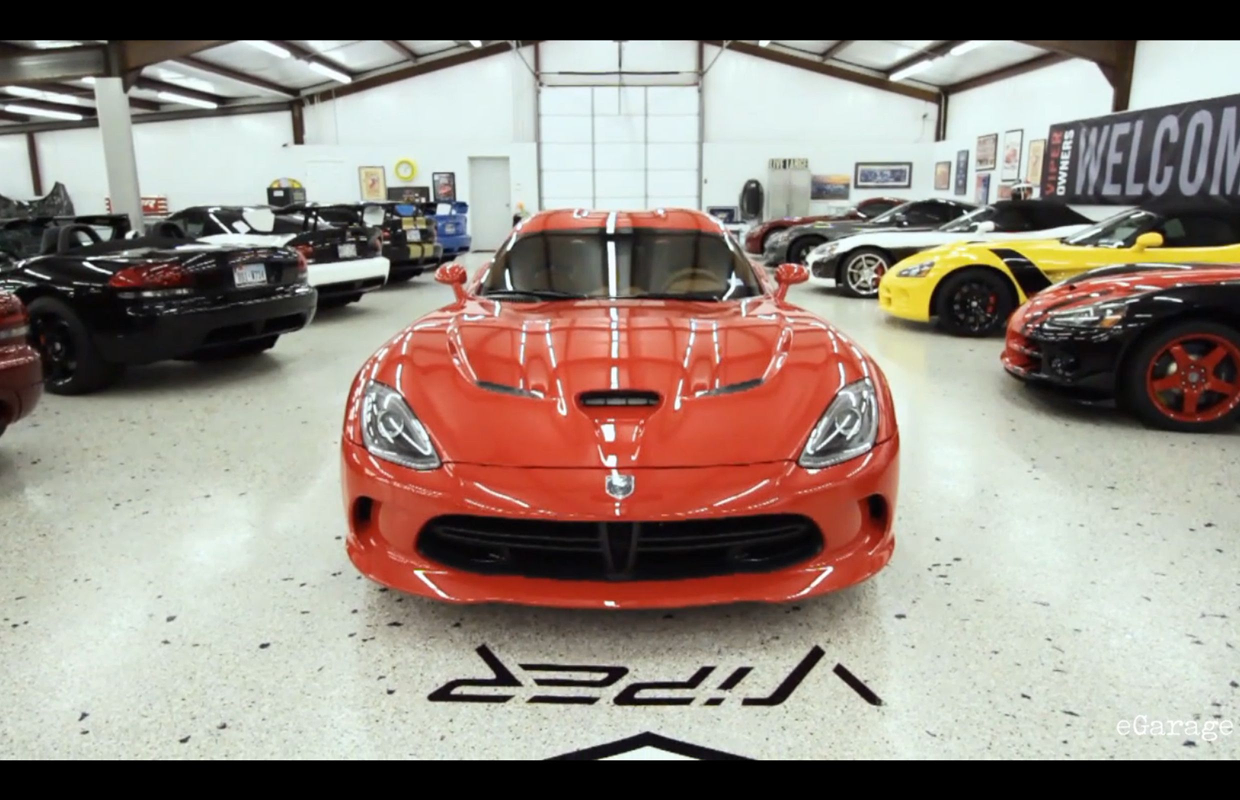 Venom and speed meet in this 'Viper's Nest' collection | Driving