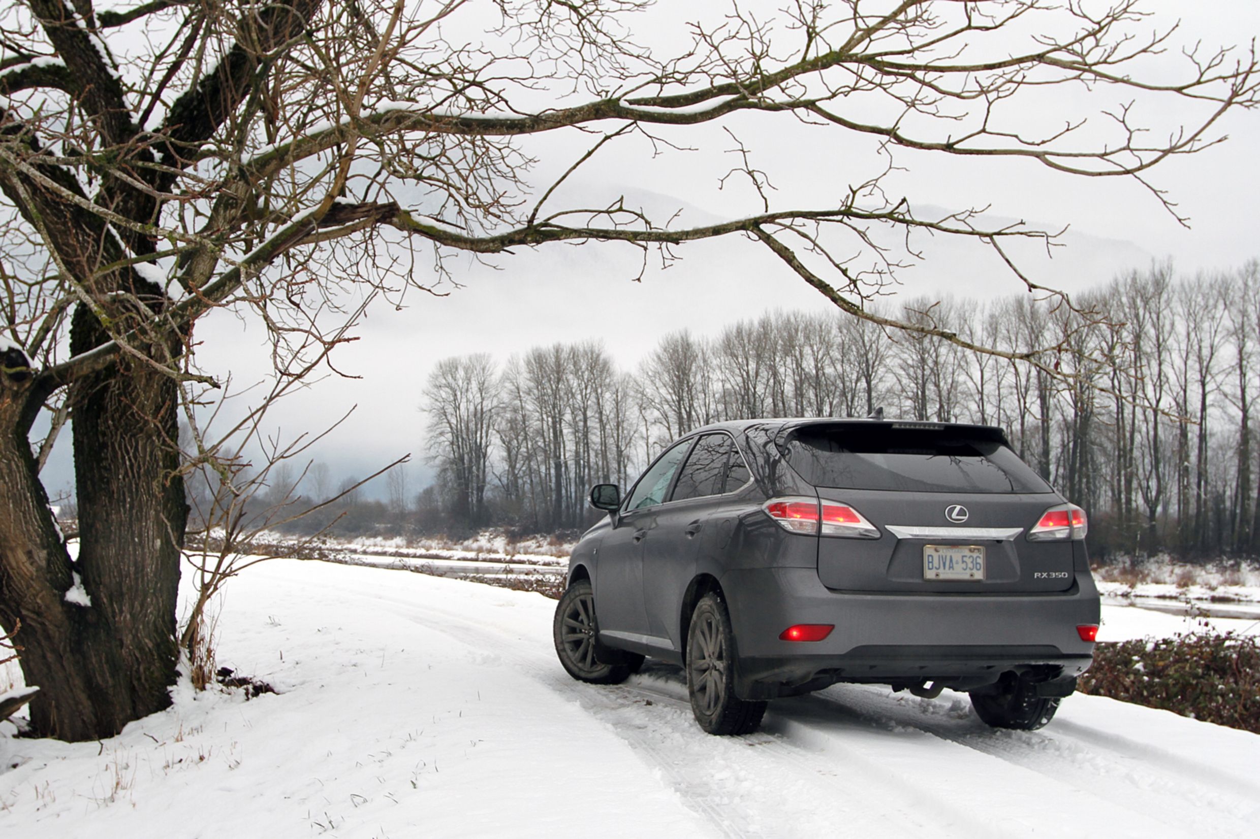 Road test: 2014 Lexus RX350 F Sport | Driving