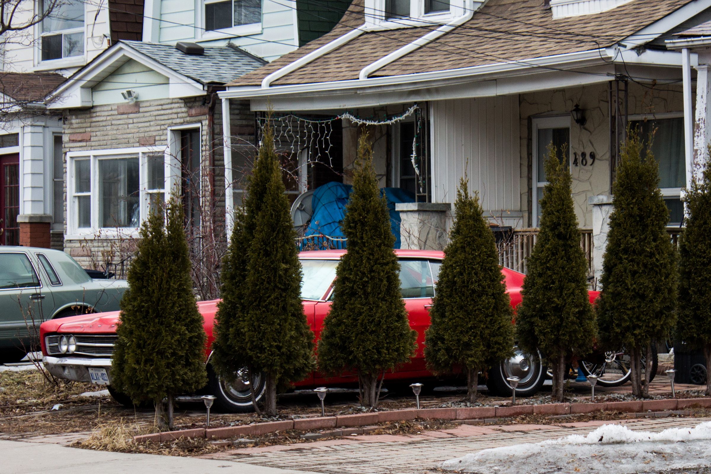What classic car is hiding behind these shrubs? | Driving