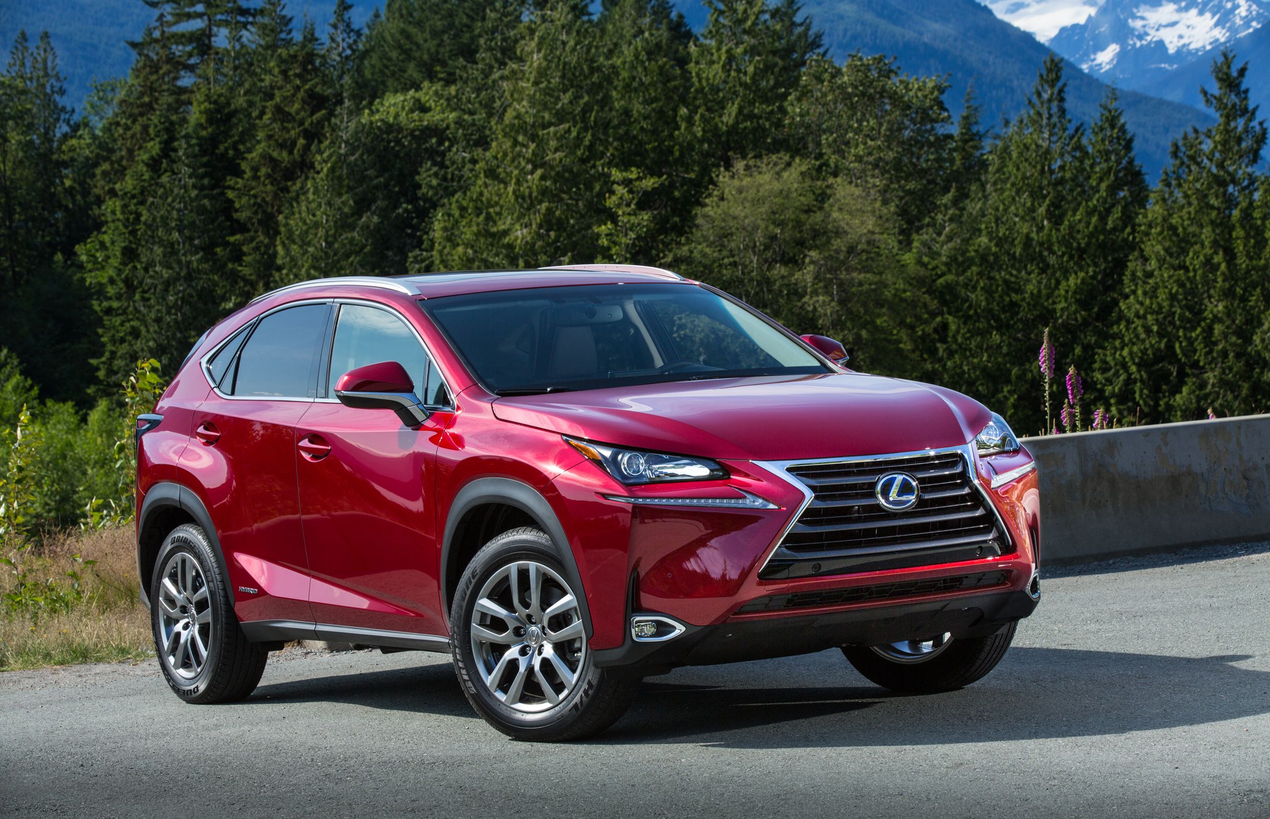 First Drive: 2015 Lexus NX | Driving