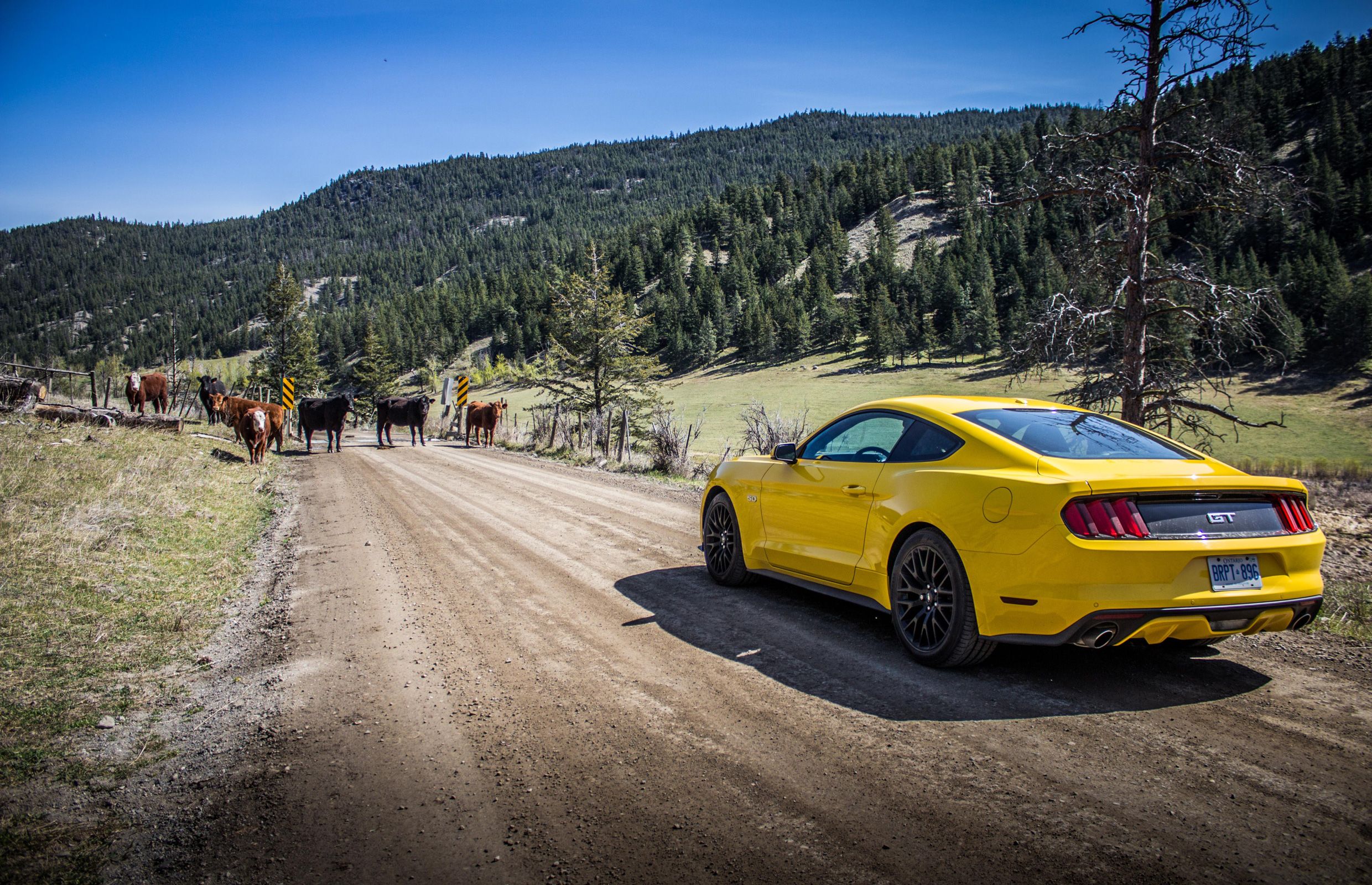 Bright-coloured cars hold resale value better, says new report | Driving