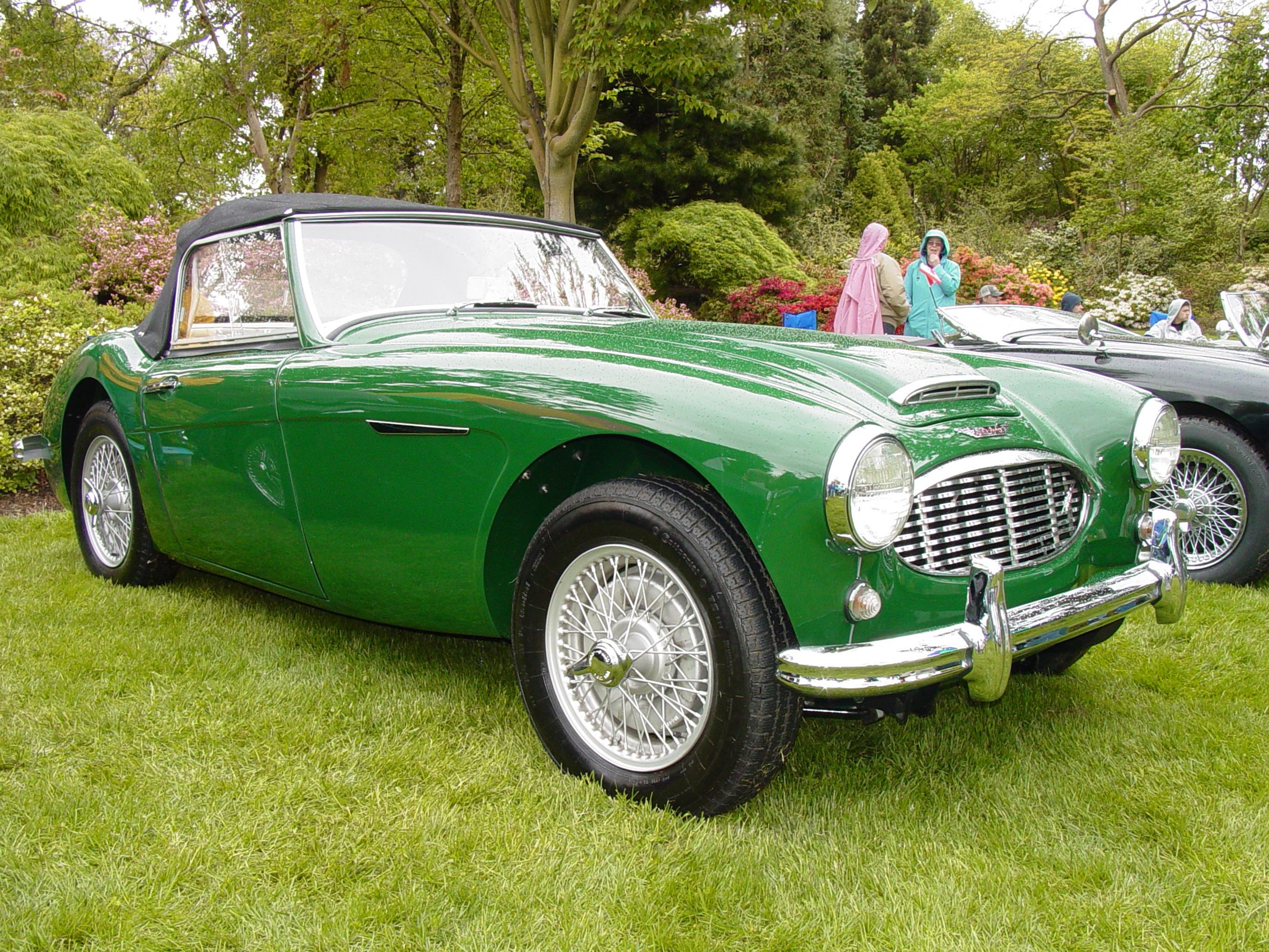 Collector Classics: The incomparable Donald Healey | Driving