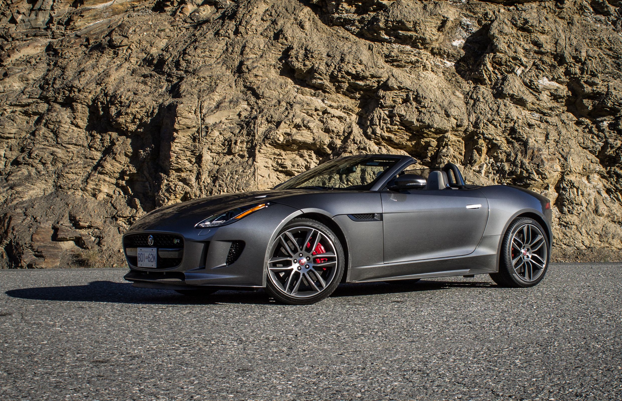 Five cool cars to celebrate National Cat Day the right way | Driving