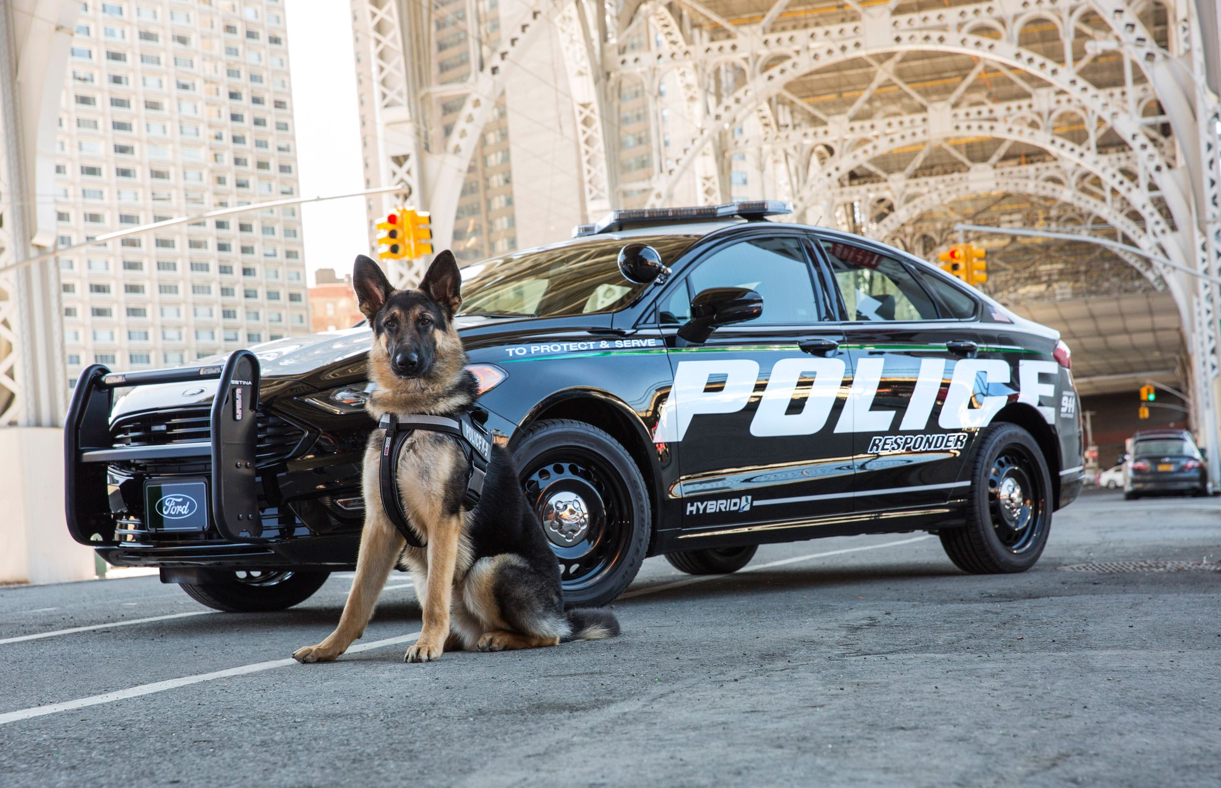Ford reveals its first pursuit-rated hybrid police car | Driving