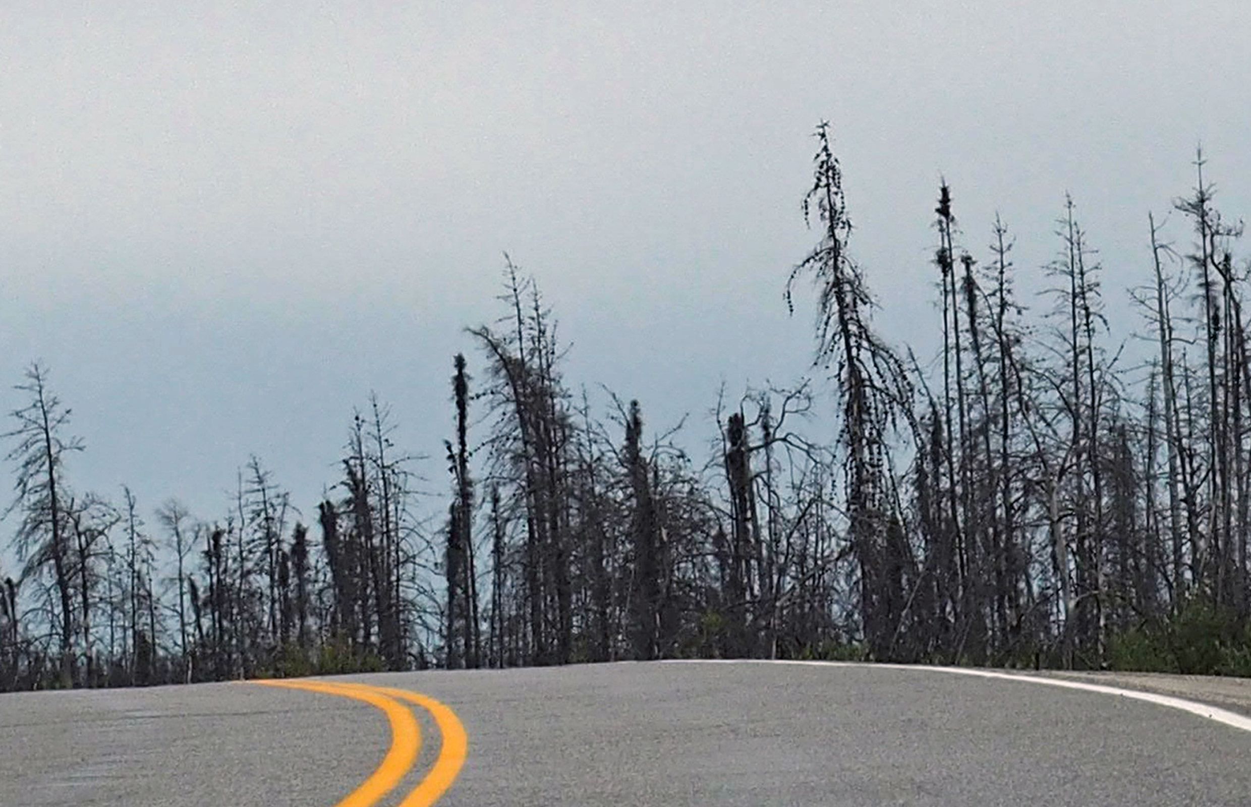 James Bay Highway is a place of many powerful forces – and just one gas ...