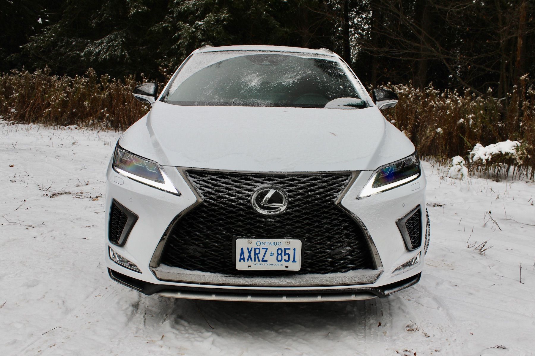 First Drive: 2020 Lexus RX | Driving