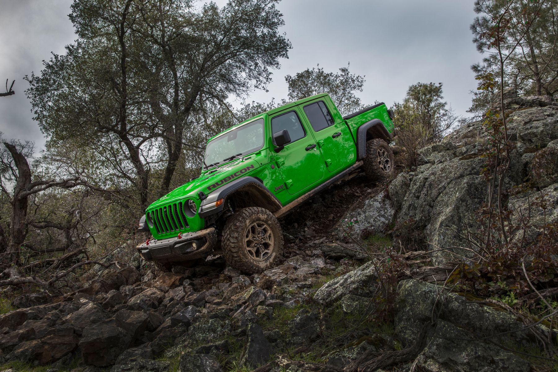 Jeep adds optional Gecko Green and Gorilla Glass to Wrangler and ...