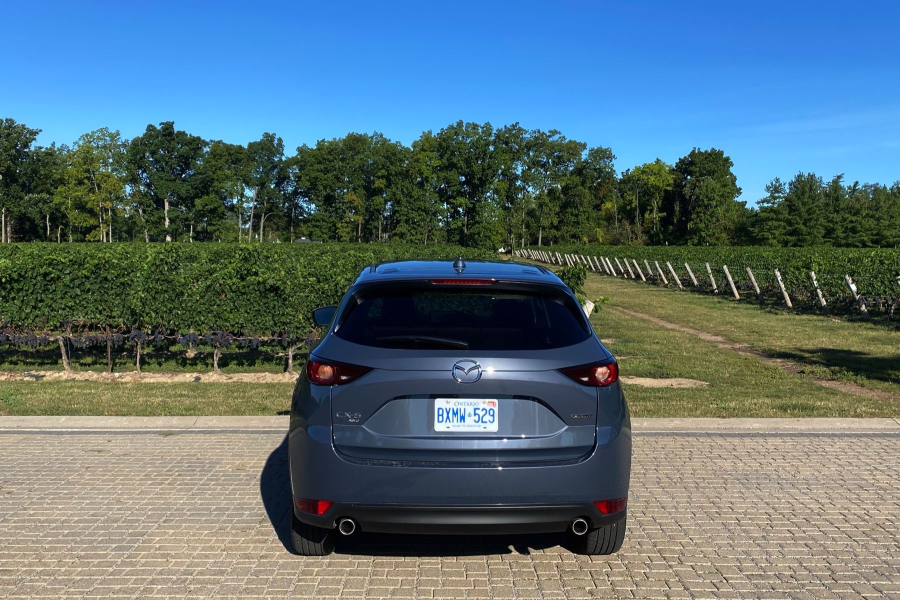 SUV Review: 2021 Mazda CX-5 Kuro Edition | Driving