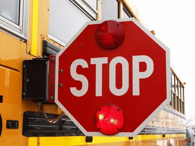 OPP remind motorists of new school bus light system | Driving