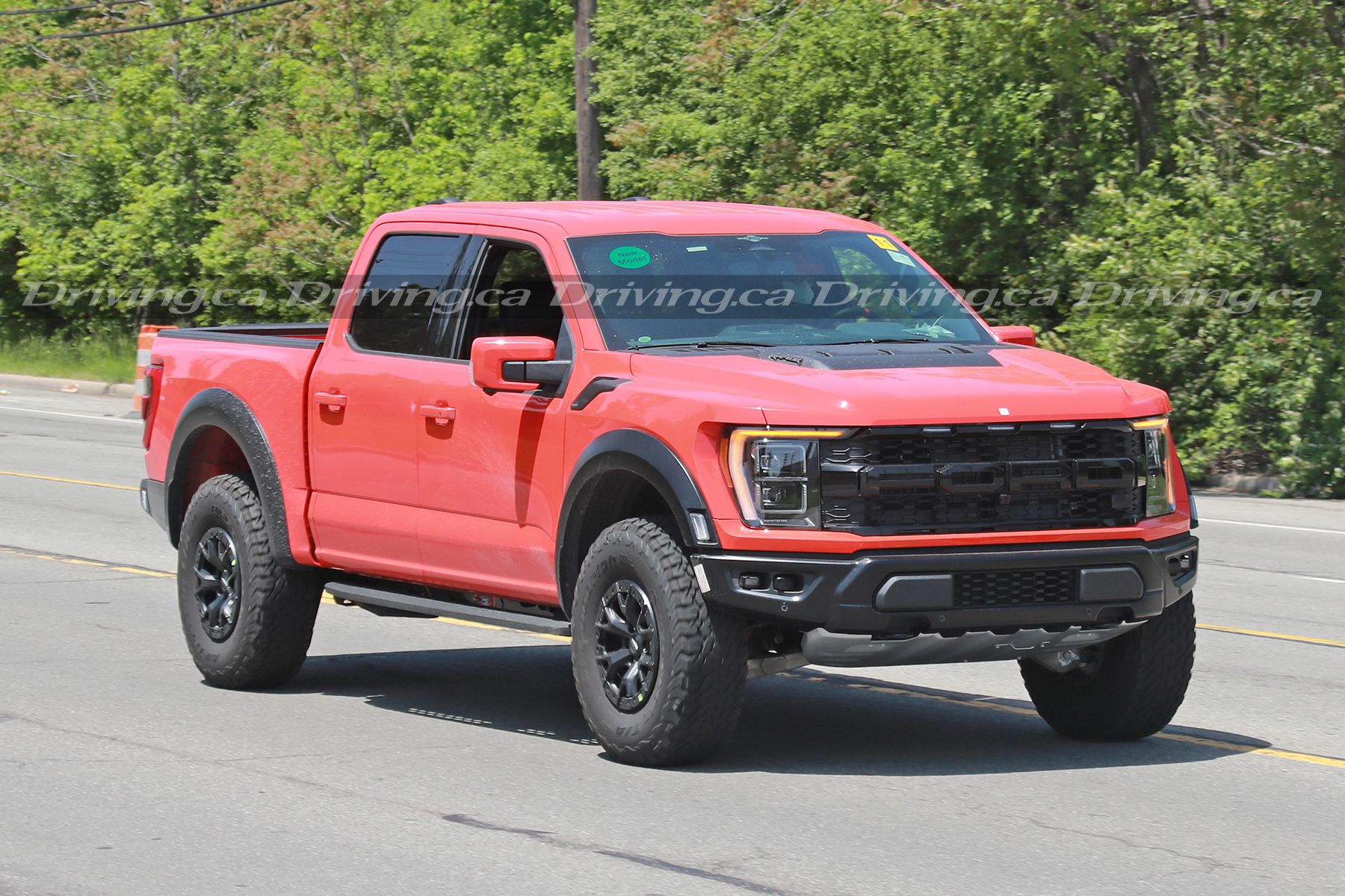 Dino-might: Ford showboats F-150 Raptor R in California | Driving