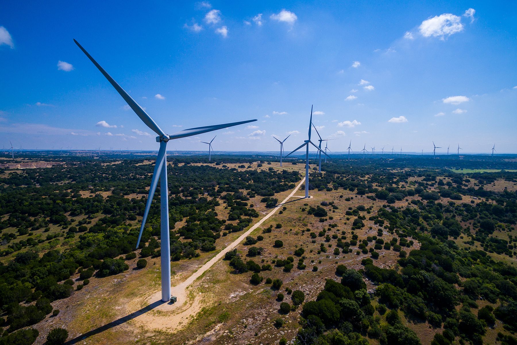 These clean-energy innovators are flipping stereotypes | Driving