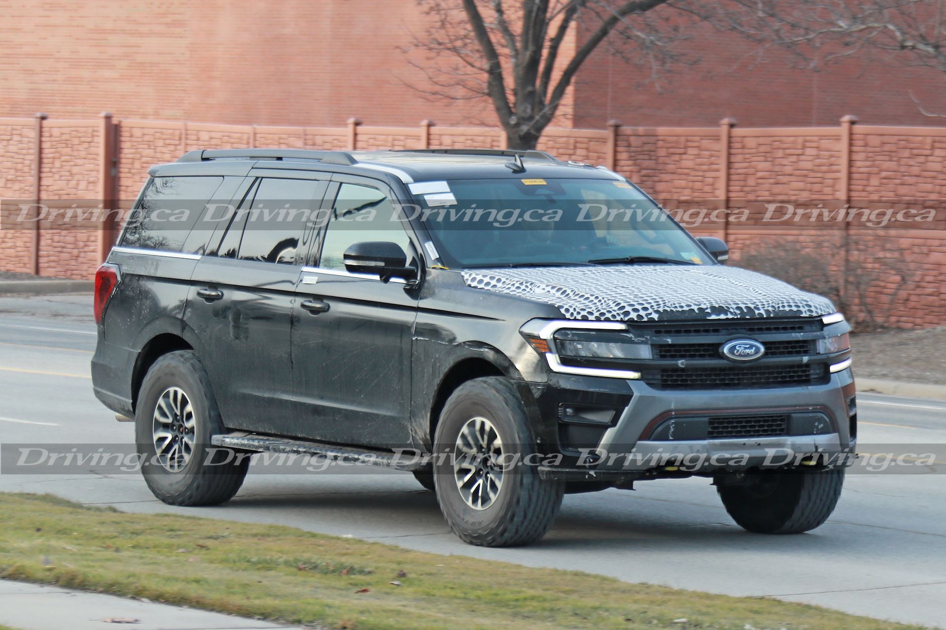 Ford spied working on a possible Expedition Raptor | Driving