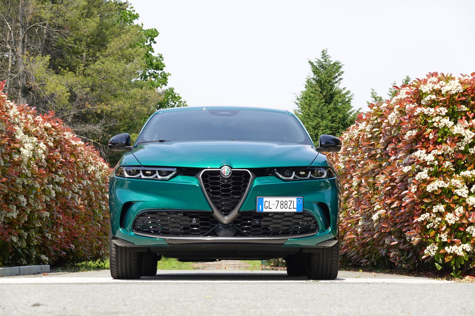 2024 Alfa Romeo Tonale | First Drive - Reviews | Driving