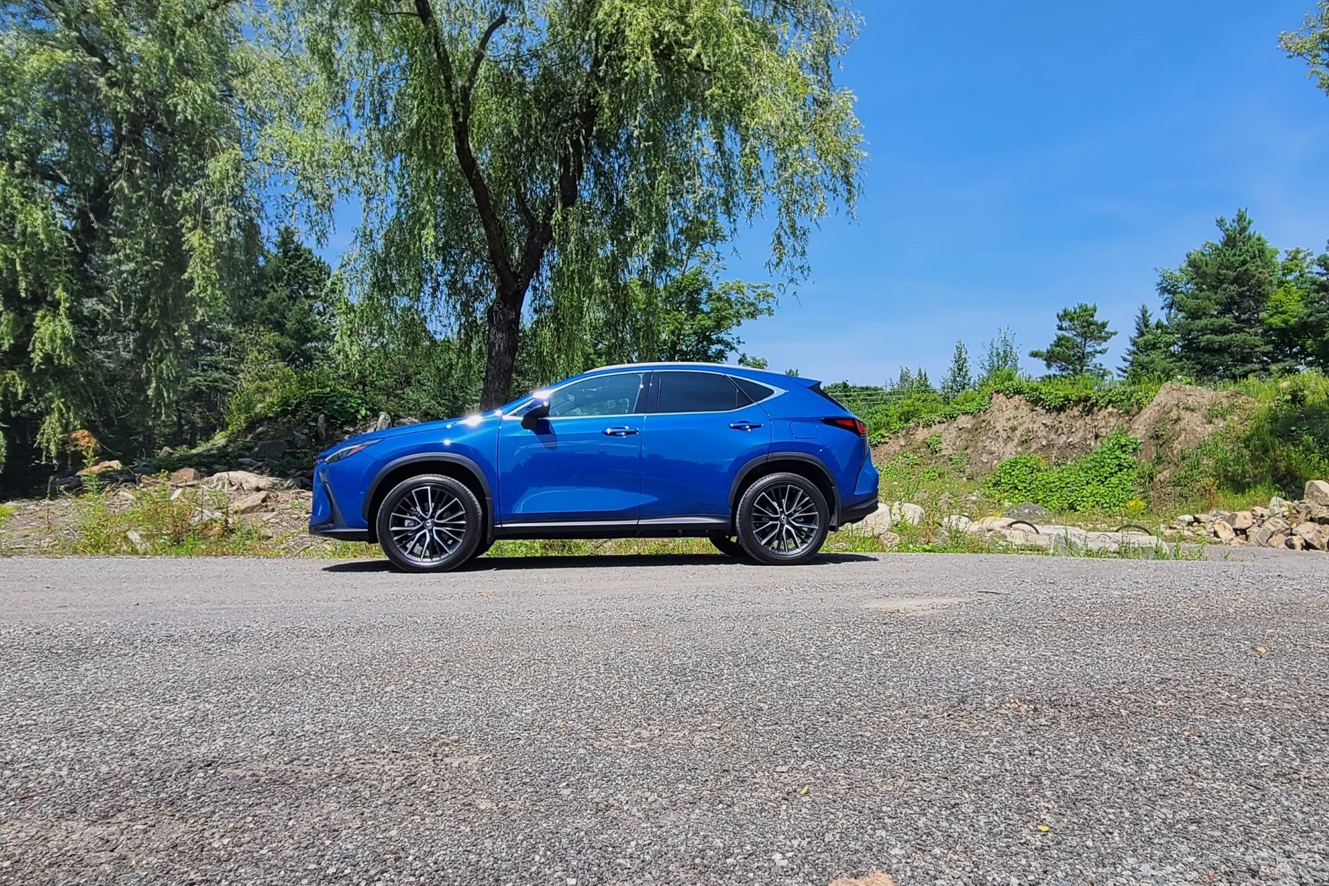 Lexus NX 350h vs Lexus RX 350h: Which model and trim should you buy ...