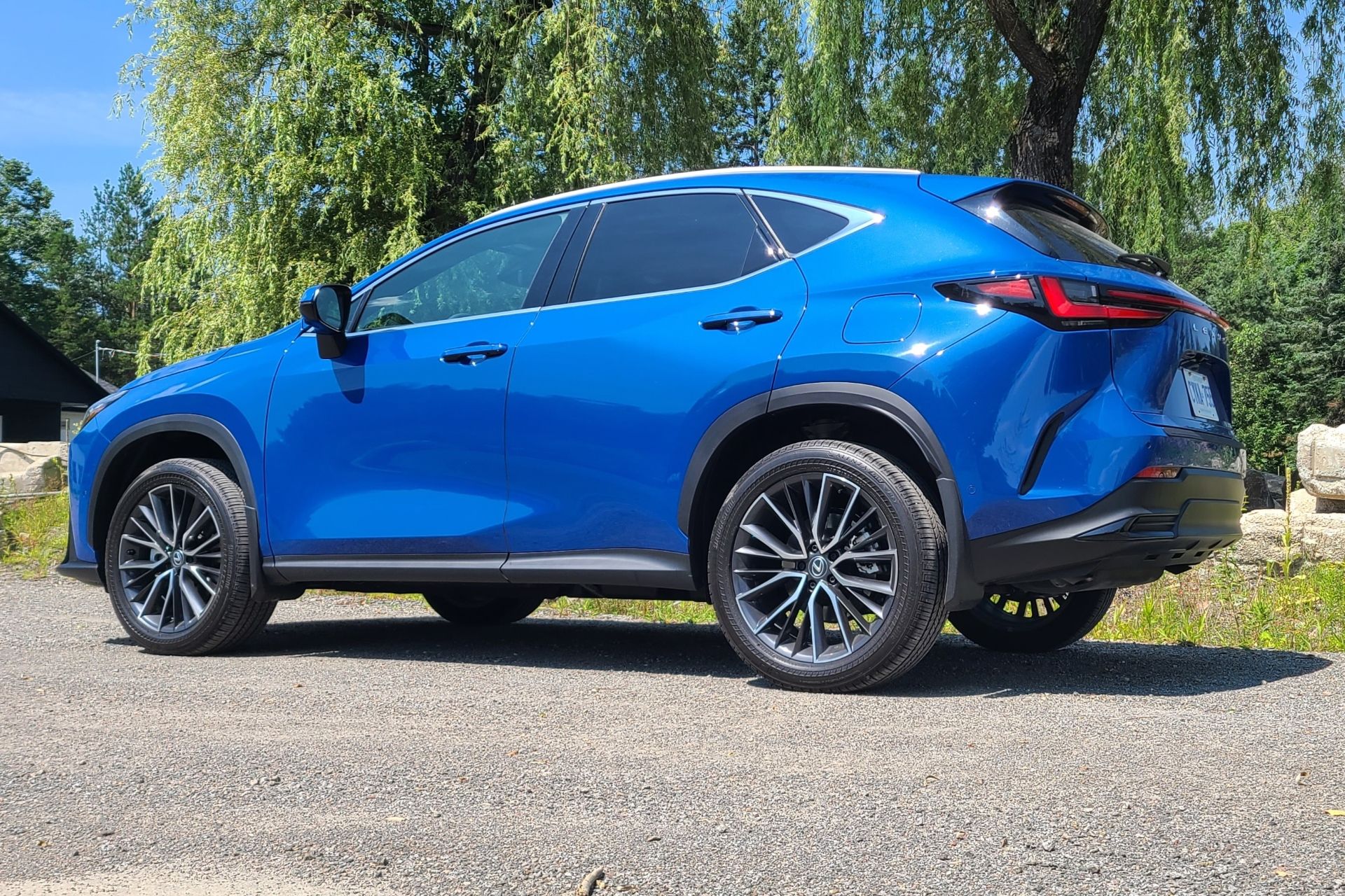 Lexus NX 350h vs Lexus RX 350h: Which model and trim should you buy ...