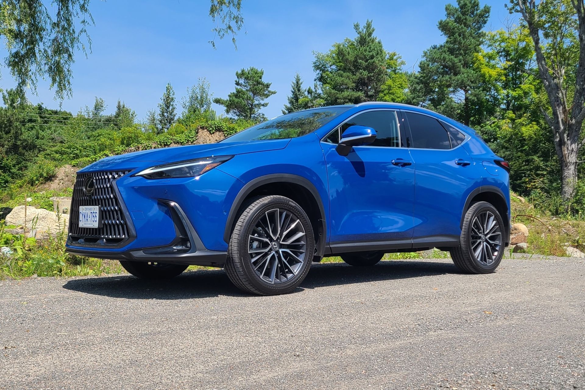 Lexus NX 350h vs Lexus RX 350h: Which model and trim should you buy ...