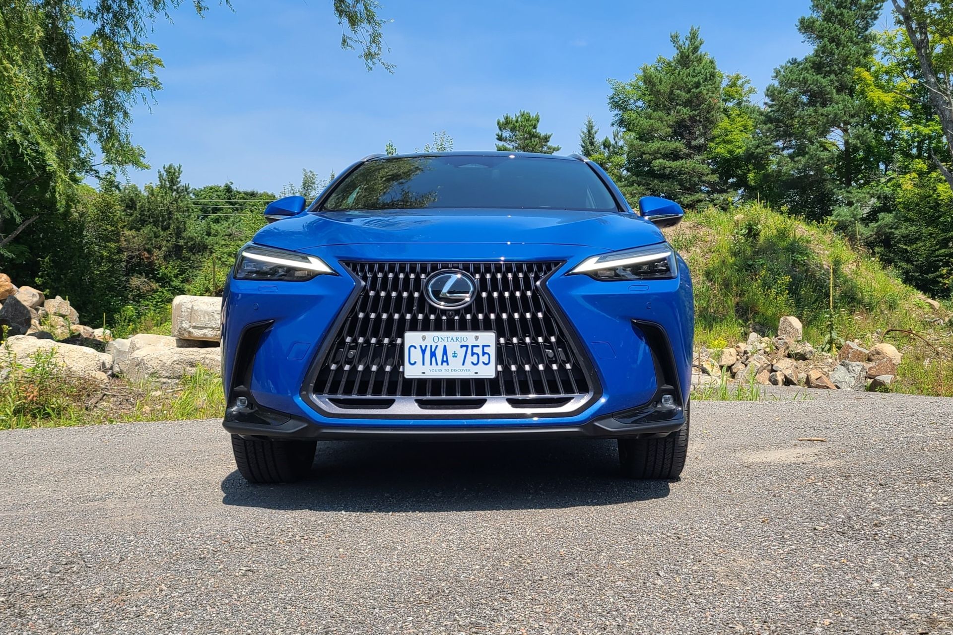 Lexus NX 350h vs Lexus RX 350h: Which model and trim should you buy ...