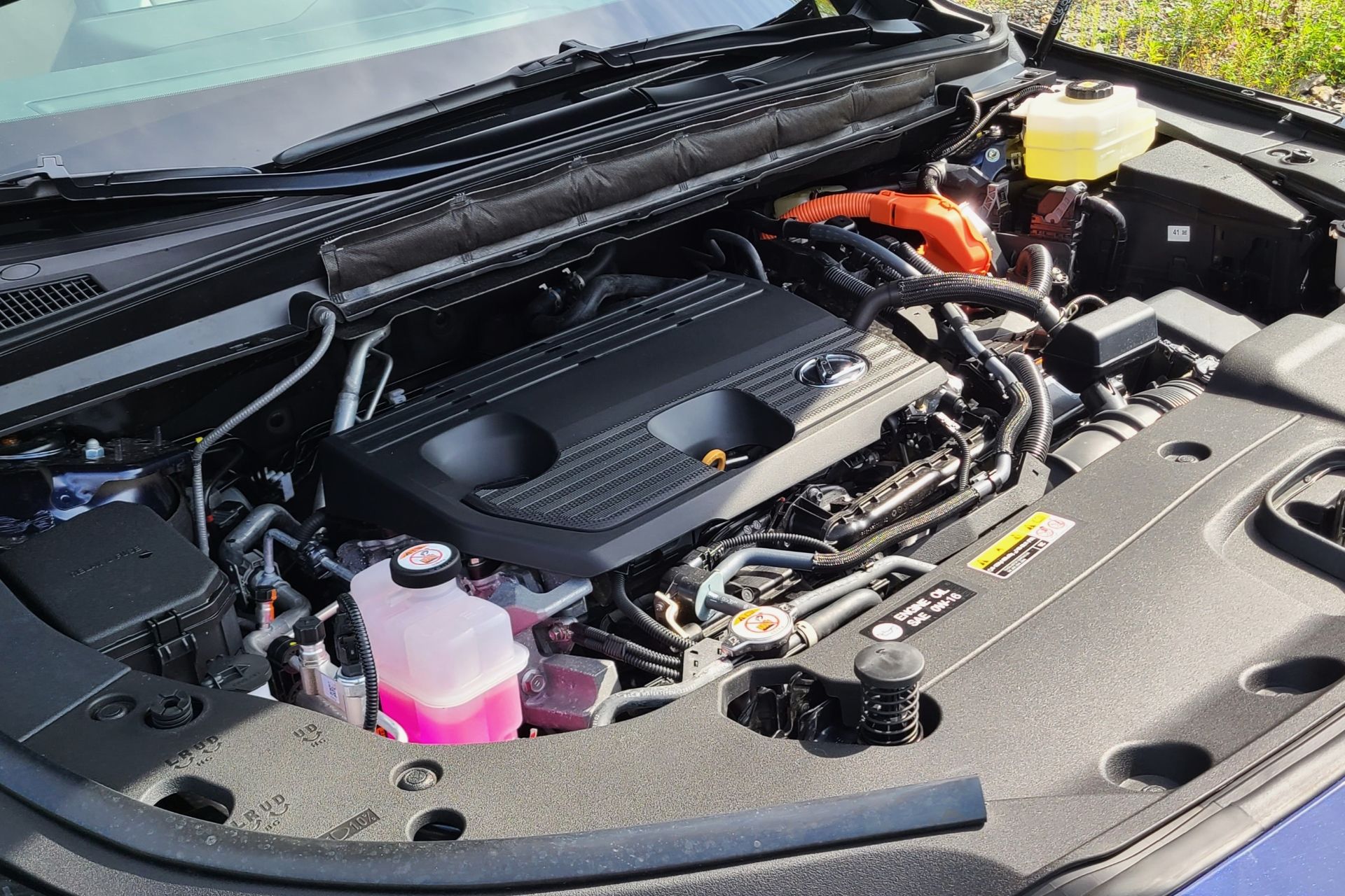 Lexus NX 350h vs Lexus RX 350h: Which model and trim should you buy ...