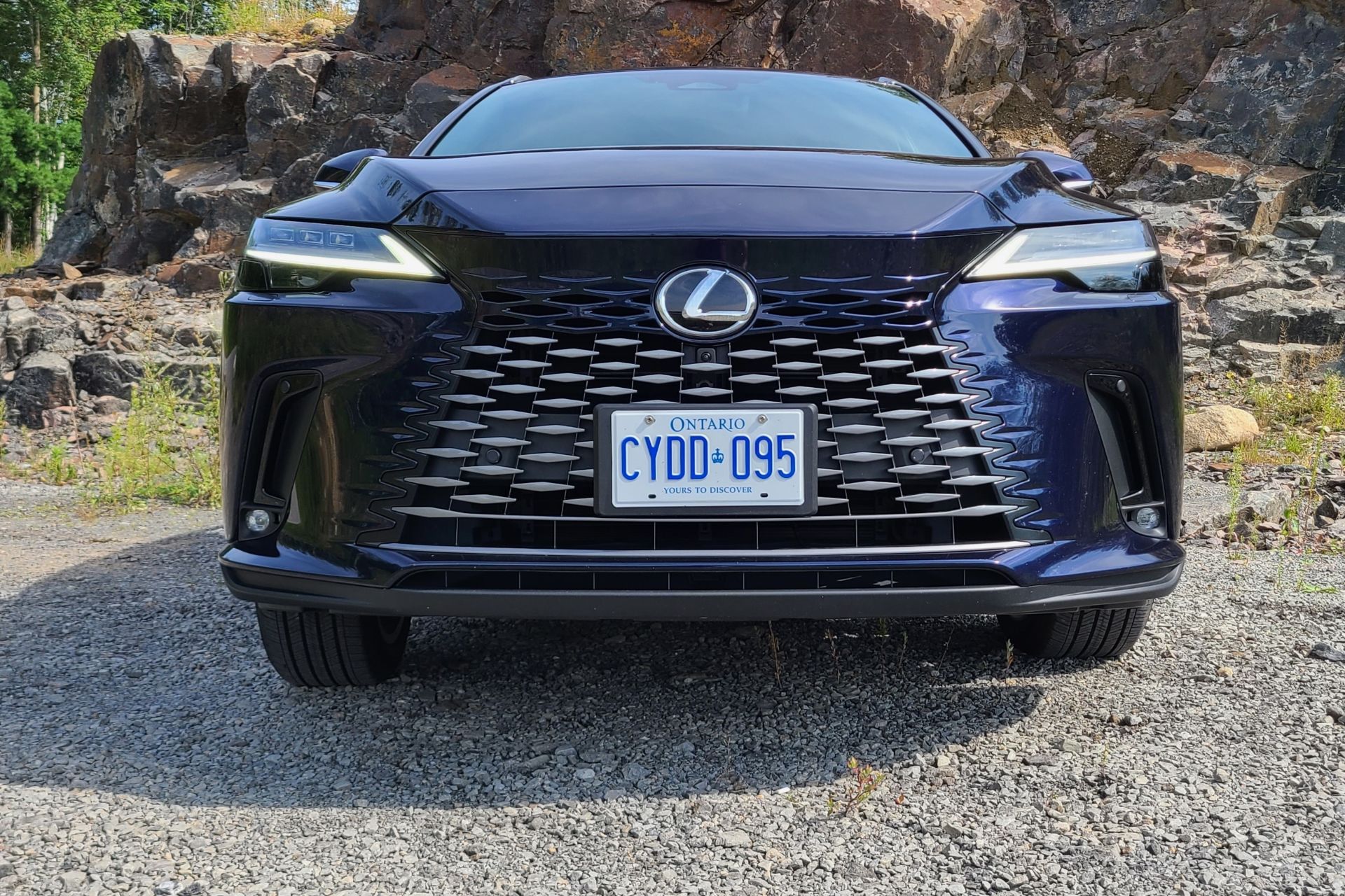 Lexus NX 350h vs Lexus RX 350h: Which model and trim should you buy ...