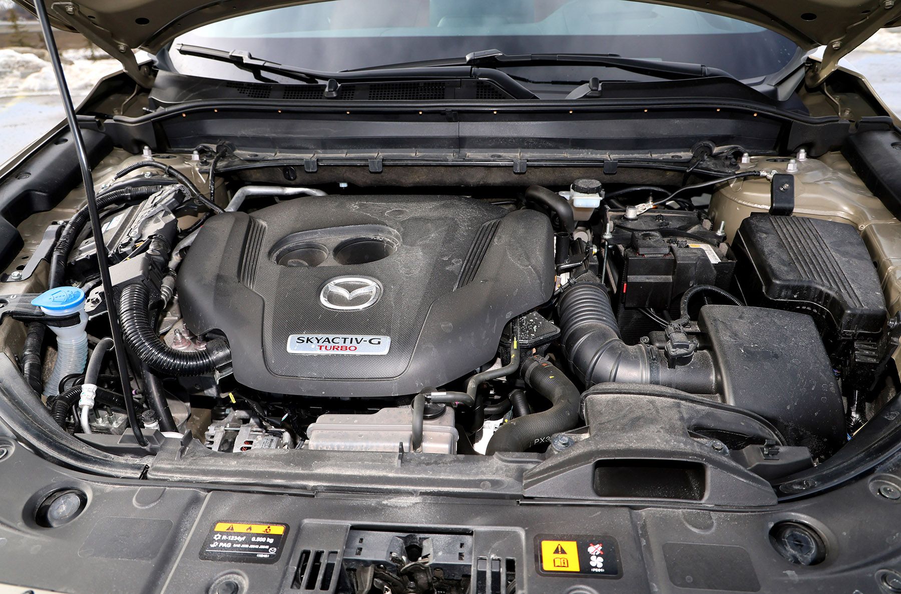 Reader Review: 2024 Mazda CX-5 Suna Edition - Reviews | Driving