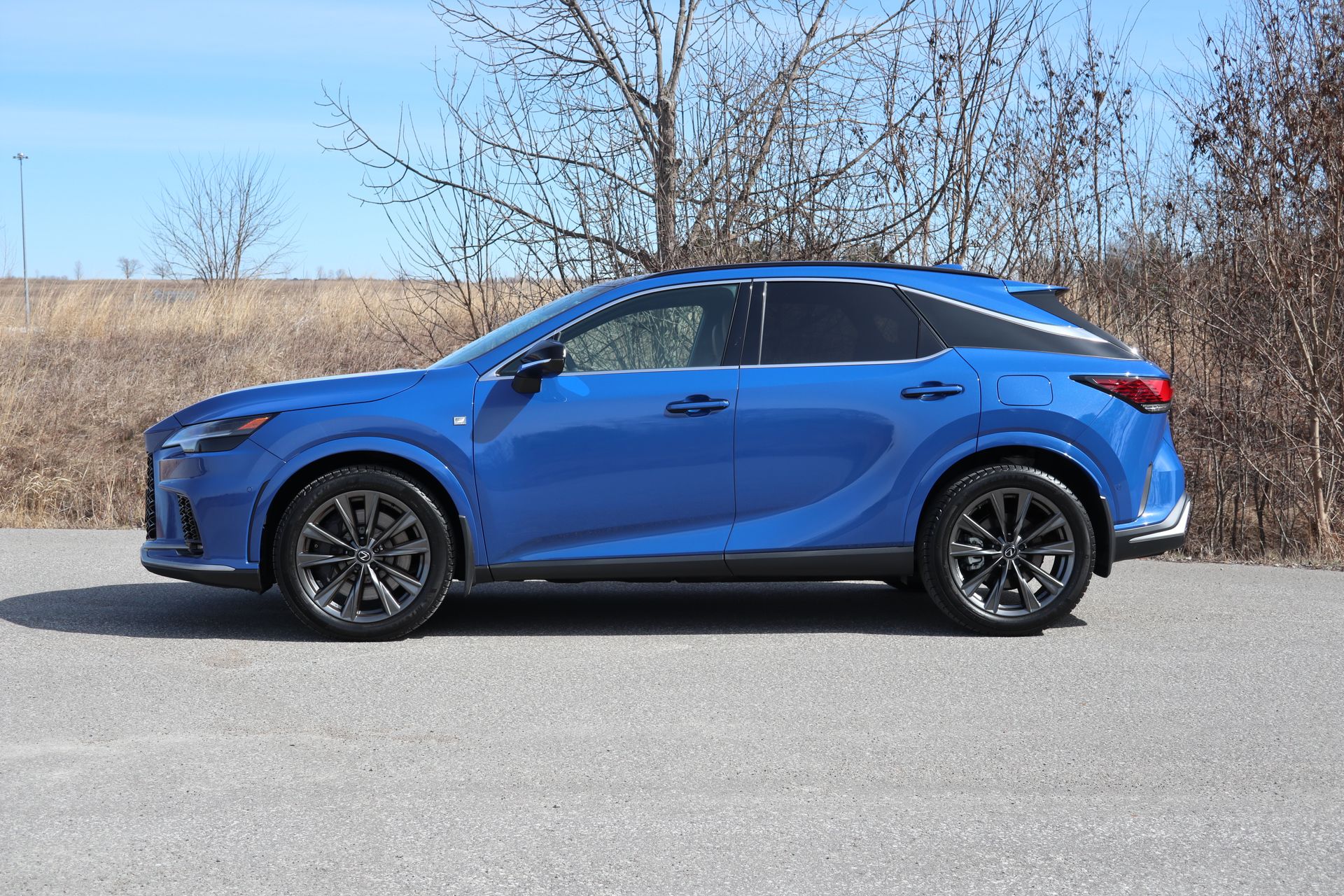 SUV Review: 2024 Lexus RX 350 - Reviews | Driving