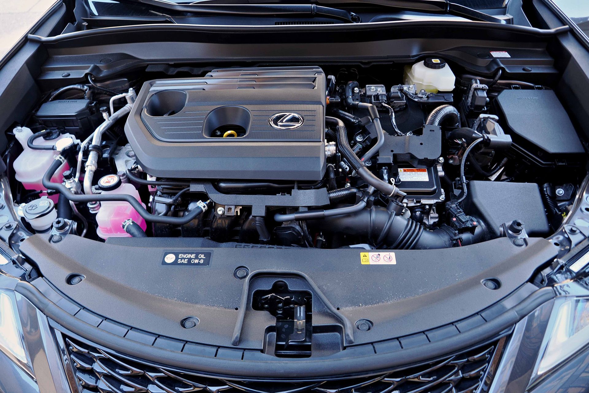 2025 Lexus UX300h Review - Reviews | Driving