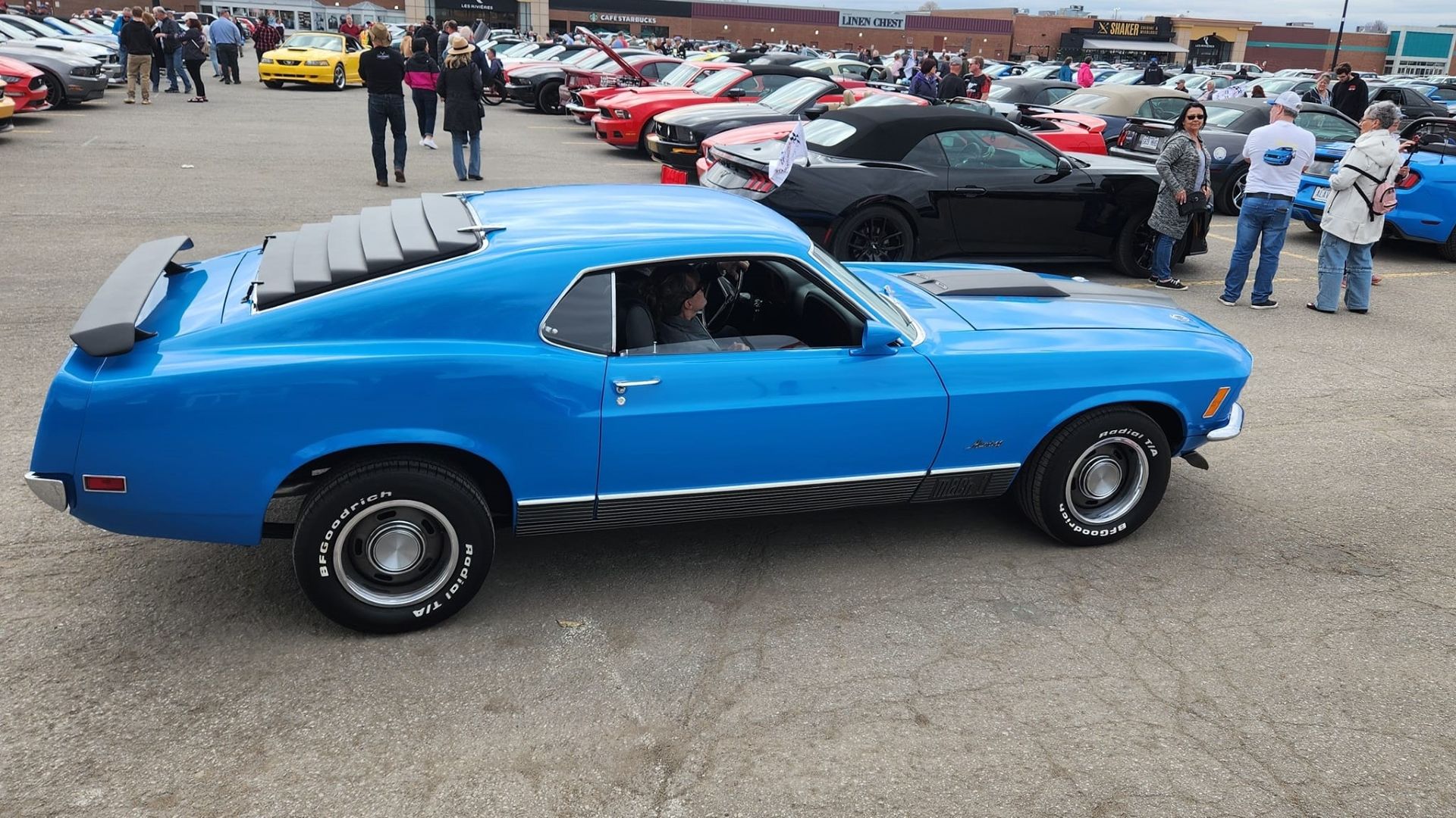 Record Guinness: 1899 Ford Mustang se réunissent à Trois-Rivières ...
